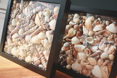 33 Projects to Make with Your Seashell Collection