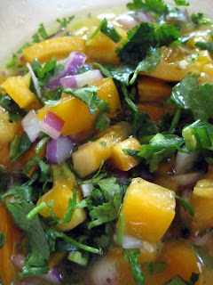 Kathleen's Vegetarian Kitchen: Salsa Xni Pec and Ceviche de San Felipe