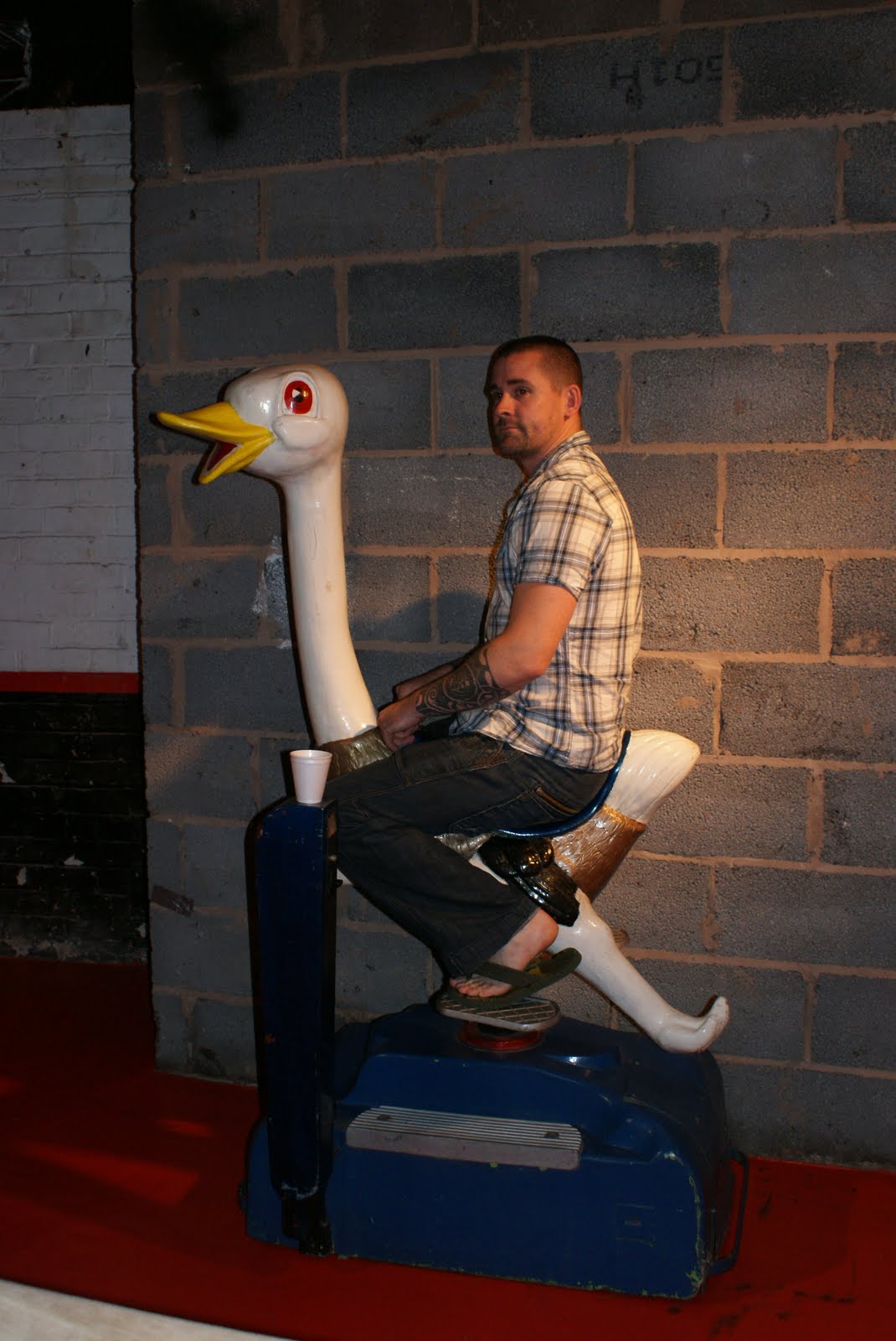 Urge For Offal – The Half Man Half Biscuit Lyrics Project