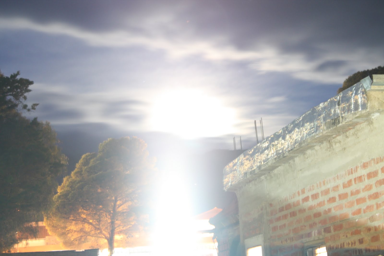 Laura Morselli / Natura/La Matanza. 154/031/9634