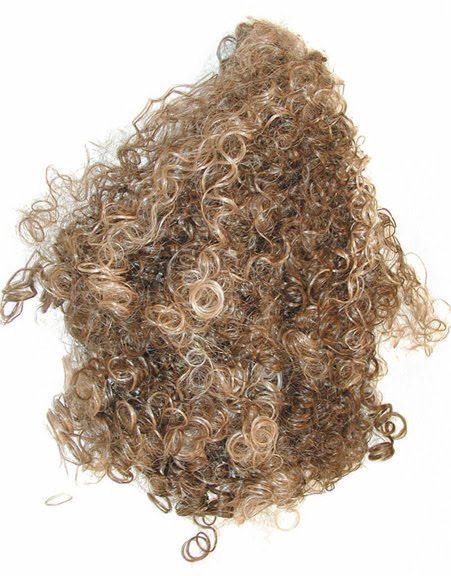 The Hair Hall of Fame: Today's Merkin