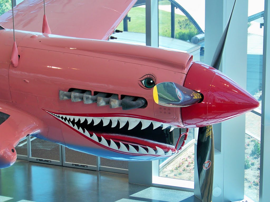 Photographic Logbook: Reported Overdue