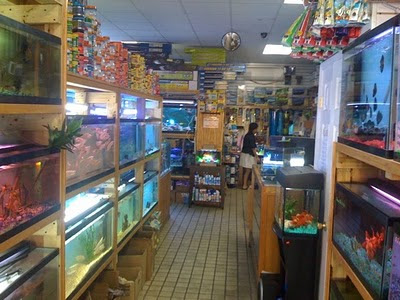Sunset-Park.com: Store of the Day: Reef Aquarium on 55th and 8th