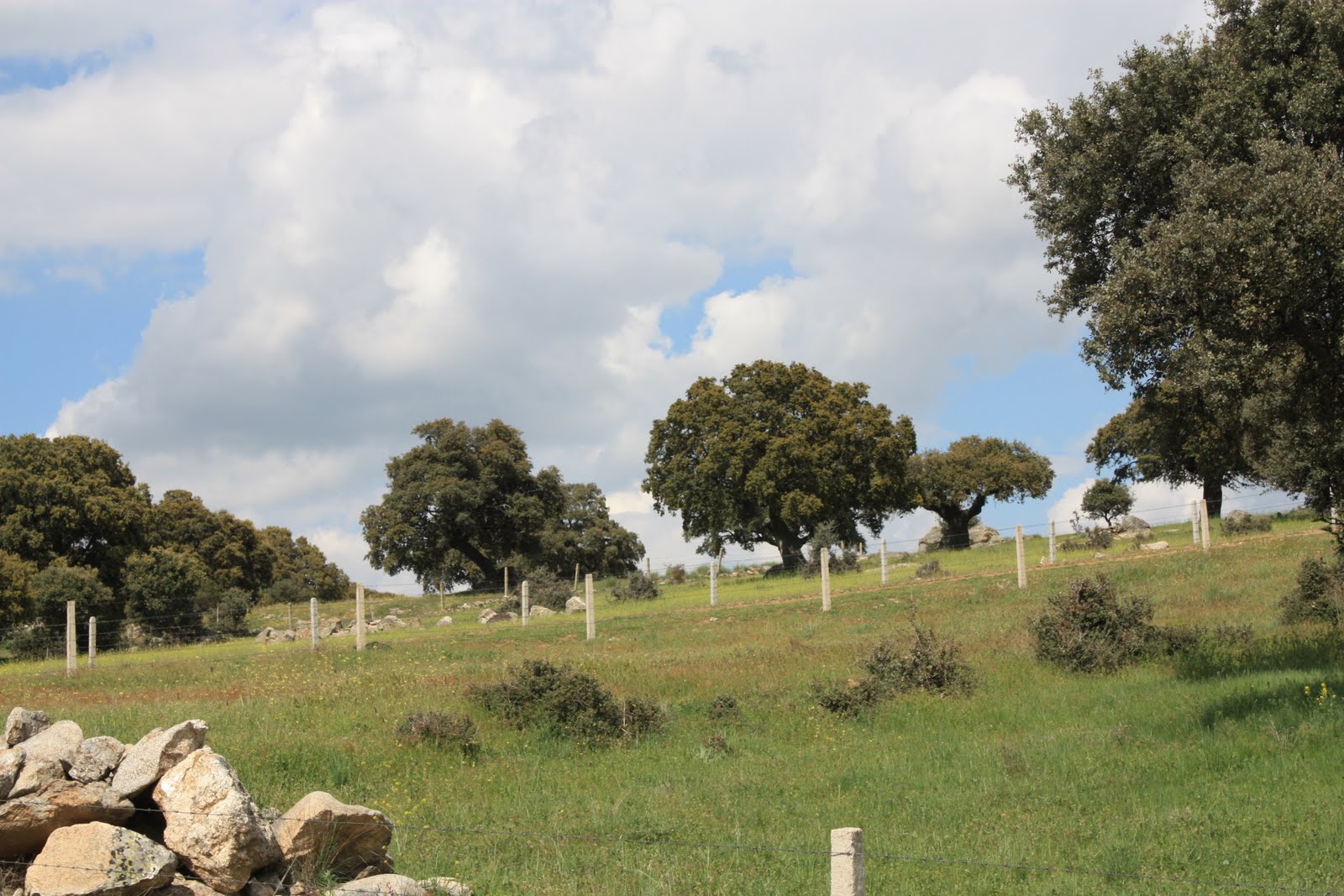 carpio medianero: PAISAJE DE CARPIO