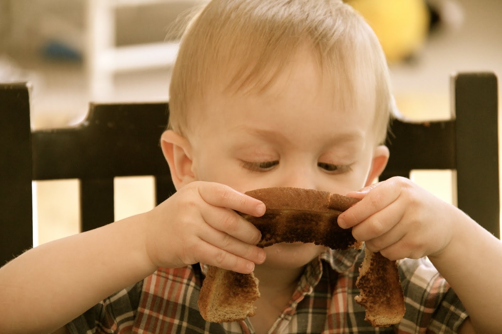 Notions on Nesting: How to Eat Toast