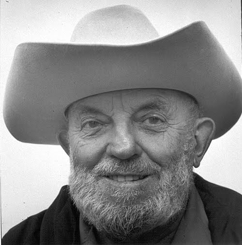 Dsm Ansel Adams