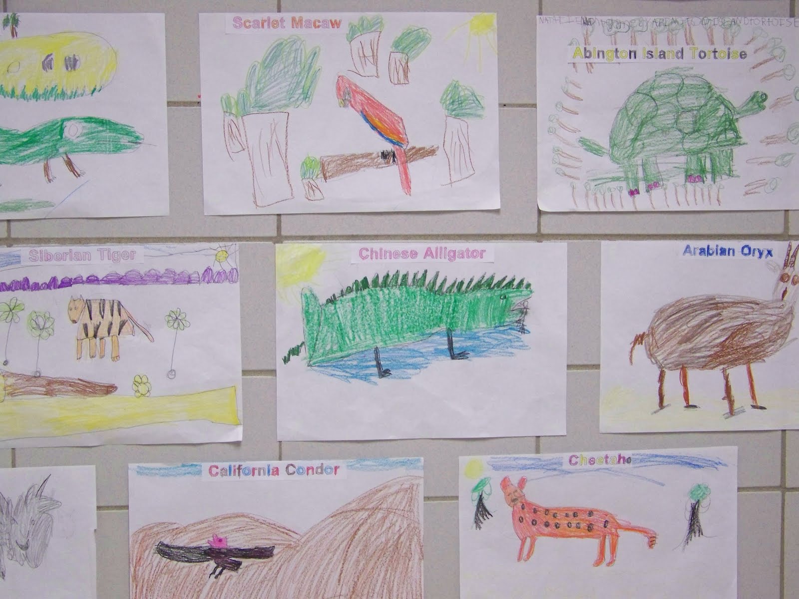 Grinnell Newburg Elementary: Kindergarten Students Study Endangered Animals
