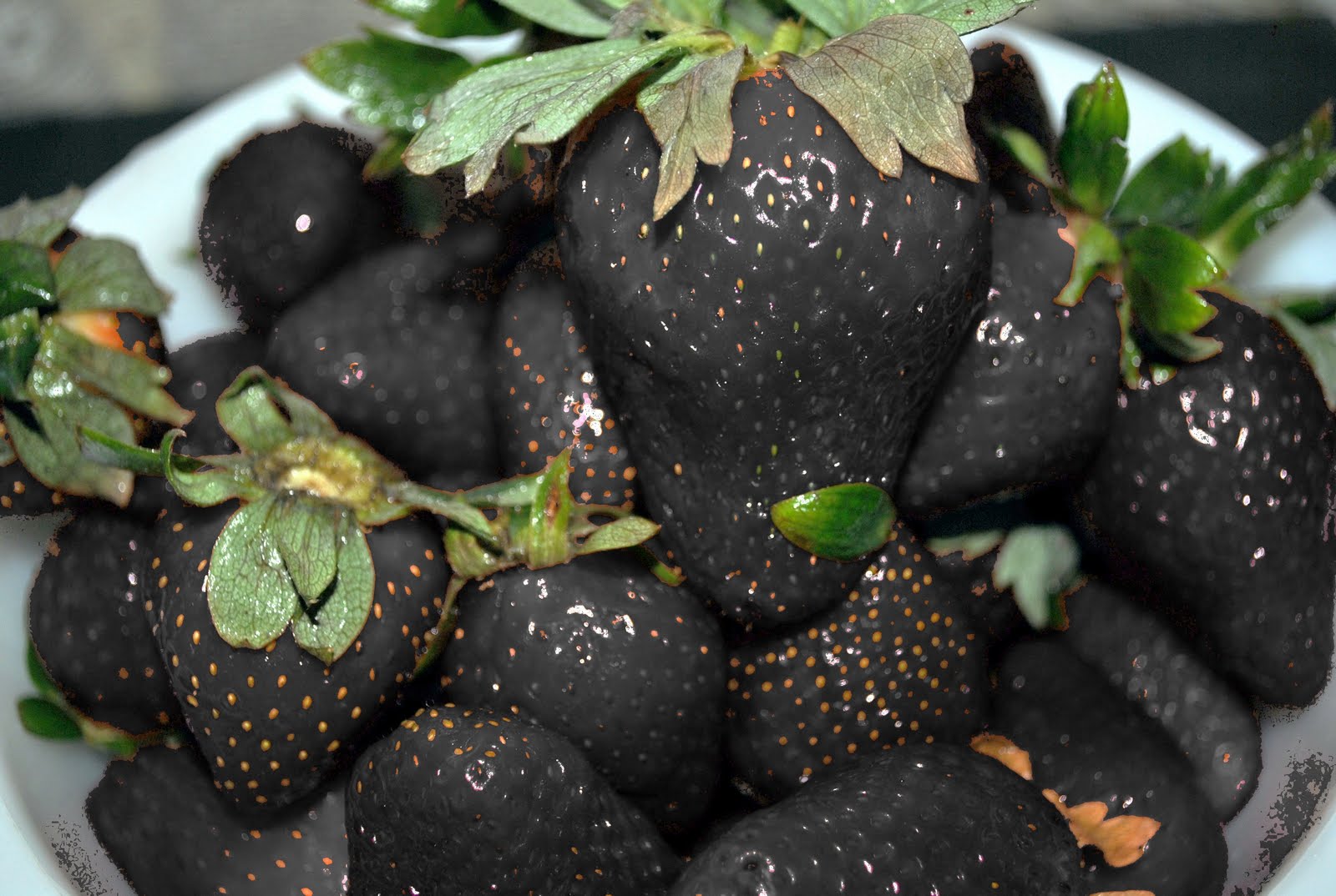 ARIEL MARTÍNEZ MORÁN: frutas negras