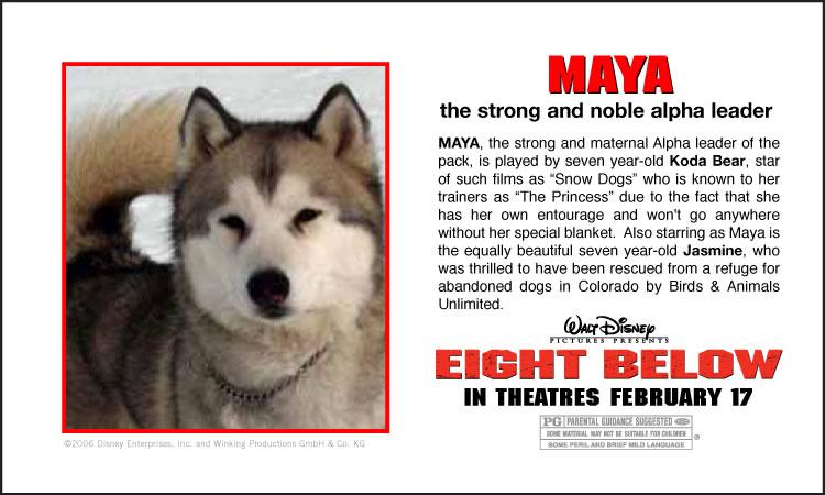 View topic - ~Eight Below~New RP! Accepting! - Chicken Smoothie