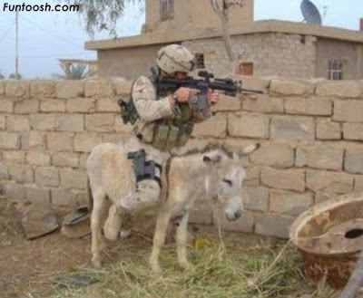 PICTURE: Soldier FUN