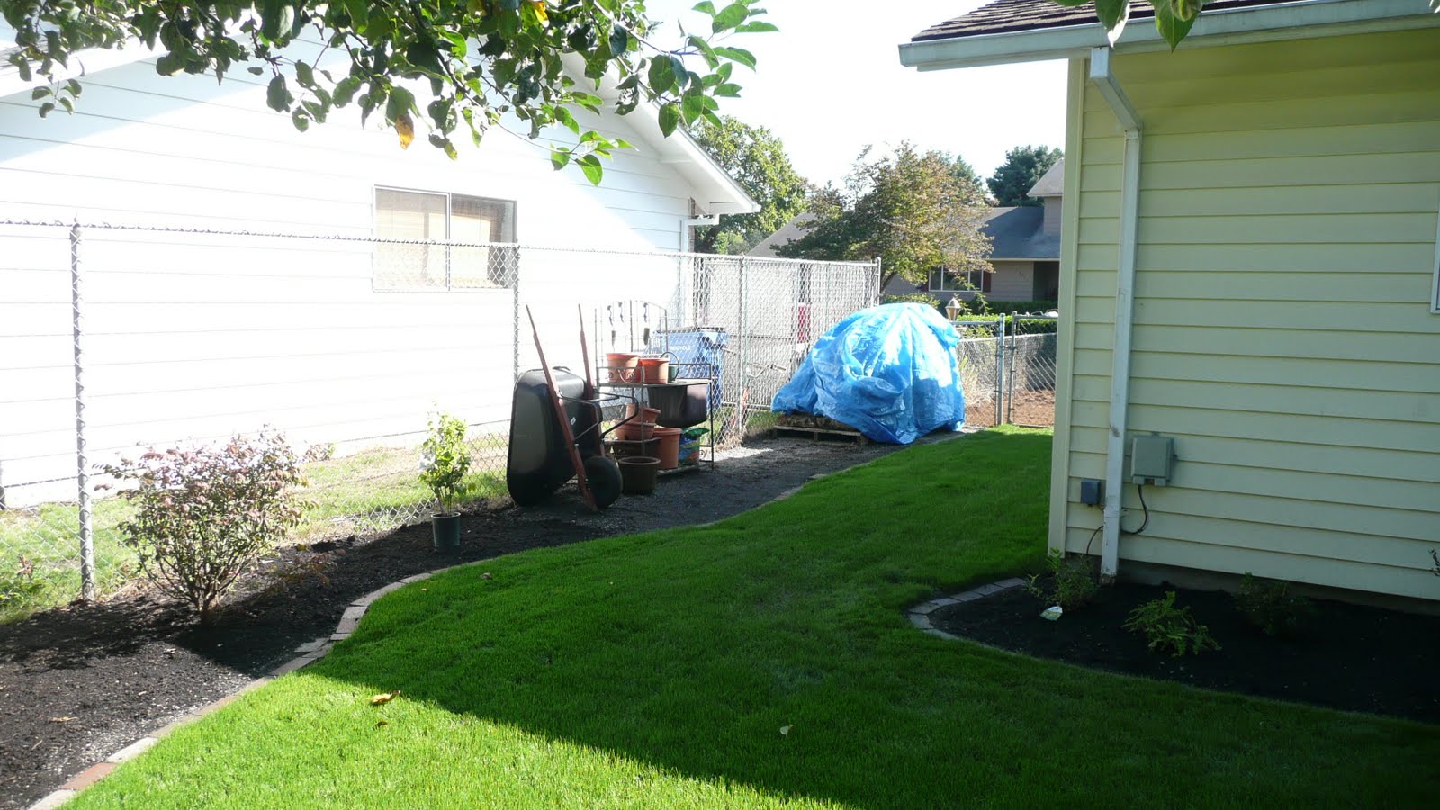 MY CURRENT OBSESSIONS: Backyard Redo - Part 2