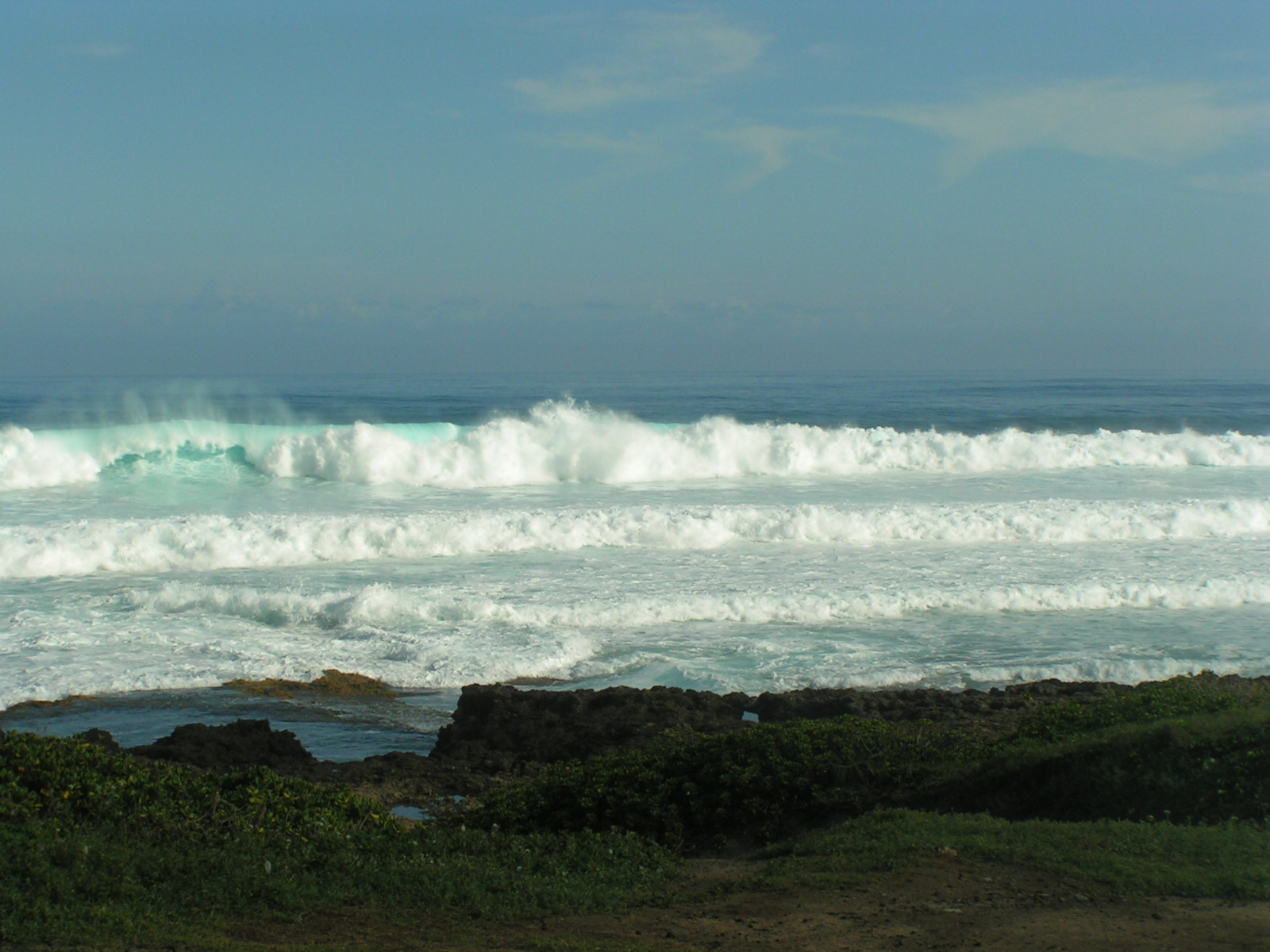 Hawaii Environmental Education Alliance: A virtual field trip to Kaena ...