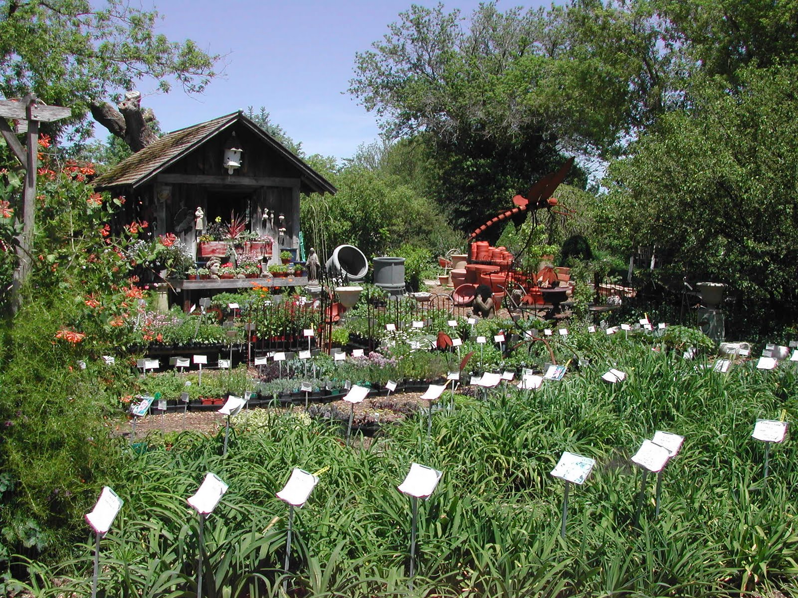Life + Style: {in the Garden} A New Find ... Monches Farm