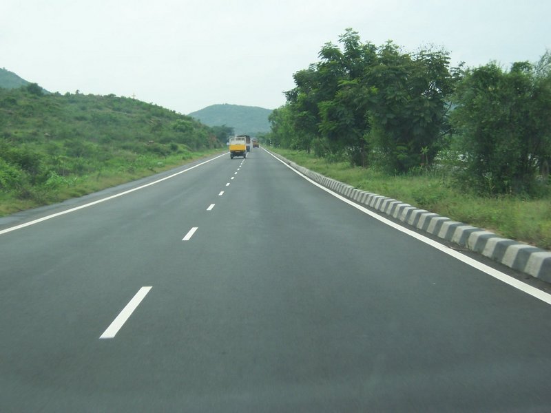 In & Around: Vedanthangal Birds Sanctuary