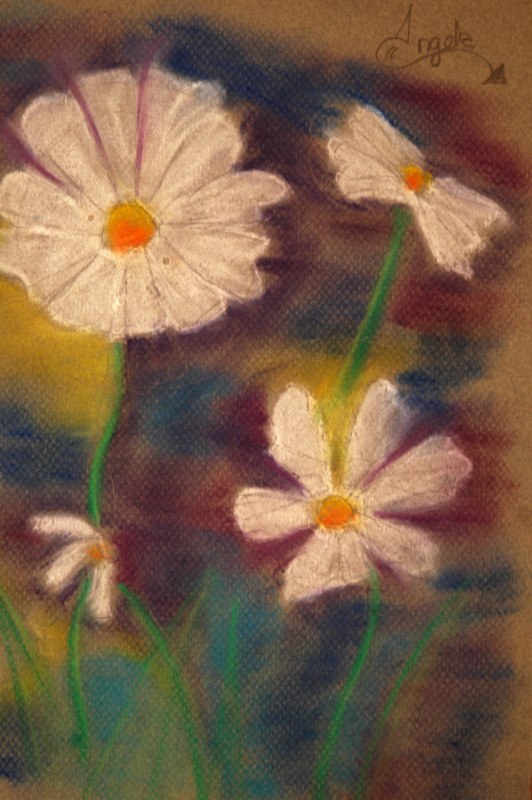 Tecnica del pastel - Imagui