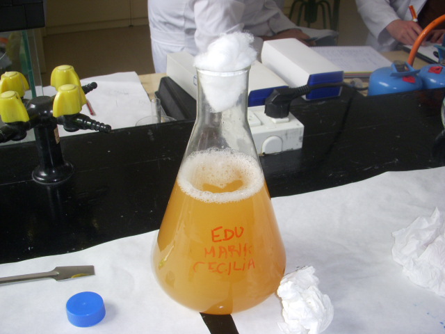 Ciclo Formativo G.Superior Vitivinicultura: Nuestros mostos greip y ...