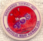 What the HELL Happened To...?: POG's: The Greatest Schoolyard Gambling ...