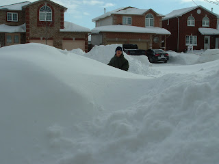 Graceful Life: Snow in Barrie, Ontario