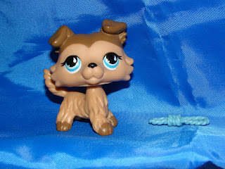Mipetclub (Littlest Pet Shop): Lps Nro 891, 795, 893, 644, 643 y 842.