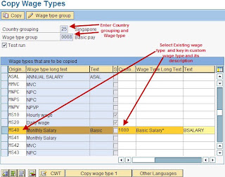 saphrmaterials: Creating Custom Wage Types