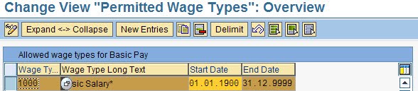 saphrmaterials: Creating Custom Wage Types