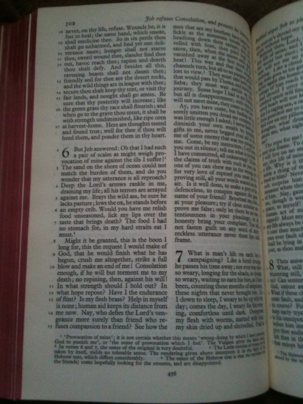 Catholic Bibles: June 2010