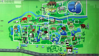BeijingMan: Afternoon in Beijing Zoo