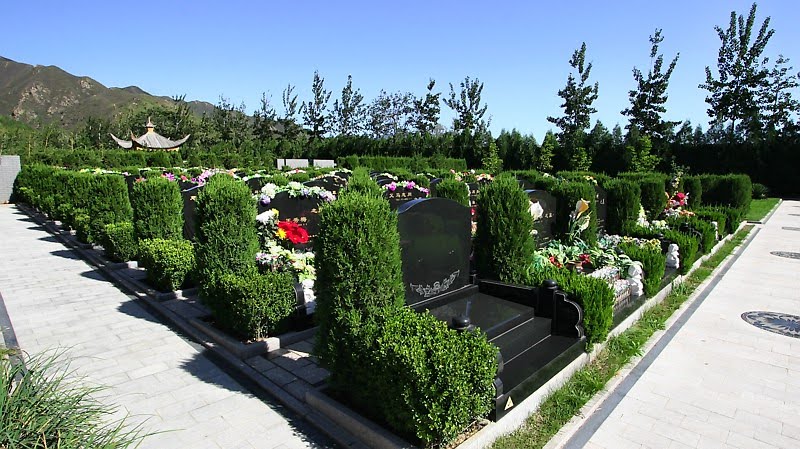 BeijingMan: Chinese Cemetery