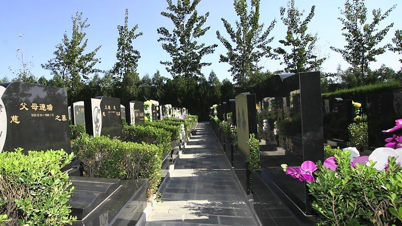 BeijingMan: Chinese Cemetery