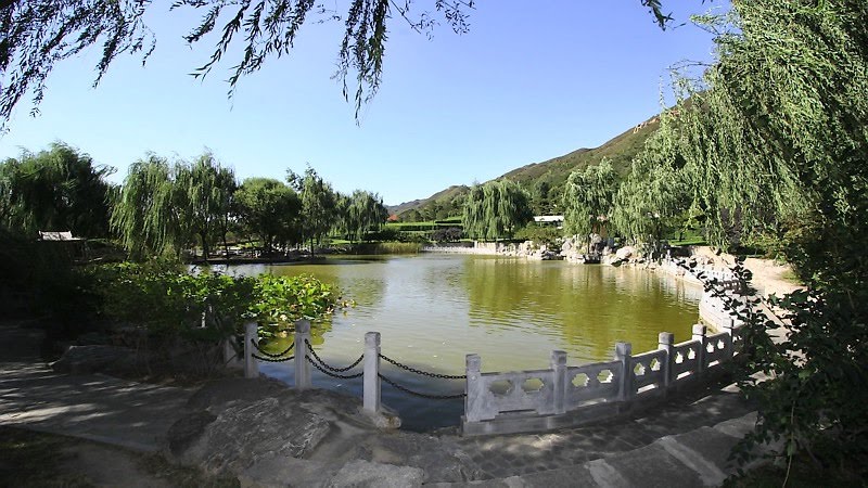 BeijingMan: Chinese Cemetery