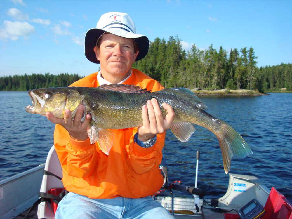 The Trophy walleyes are active! | Amik Outposts