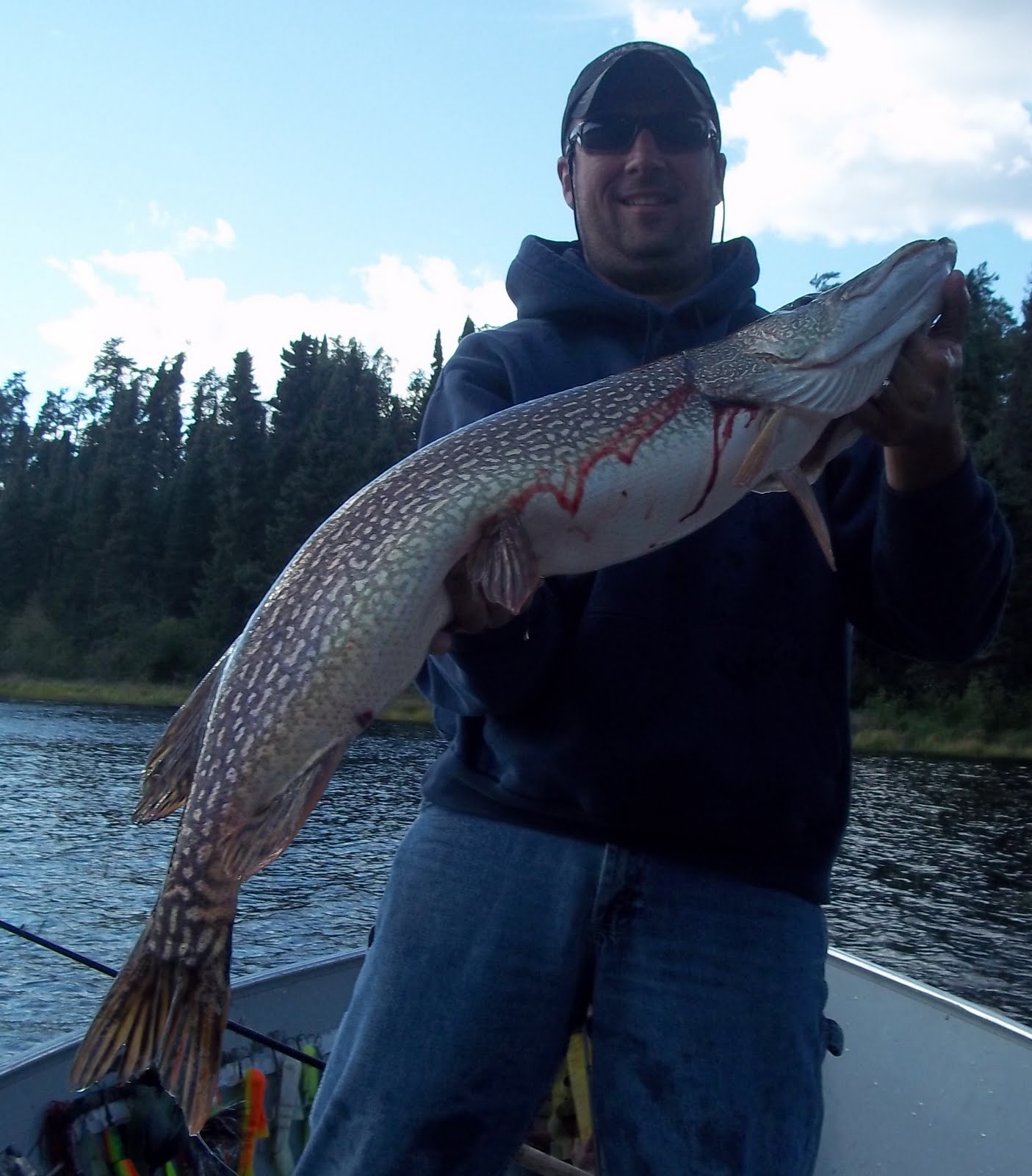 Cobham River Giant Pike!! | Amik Outposts