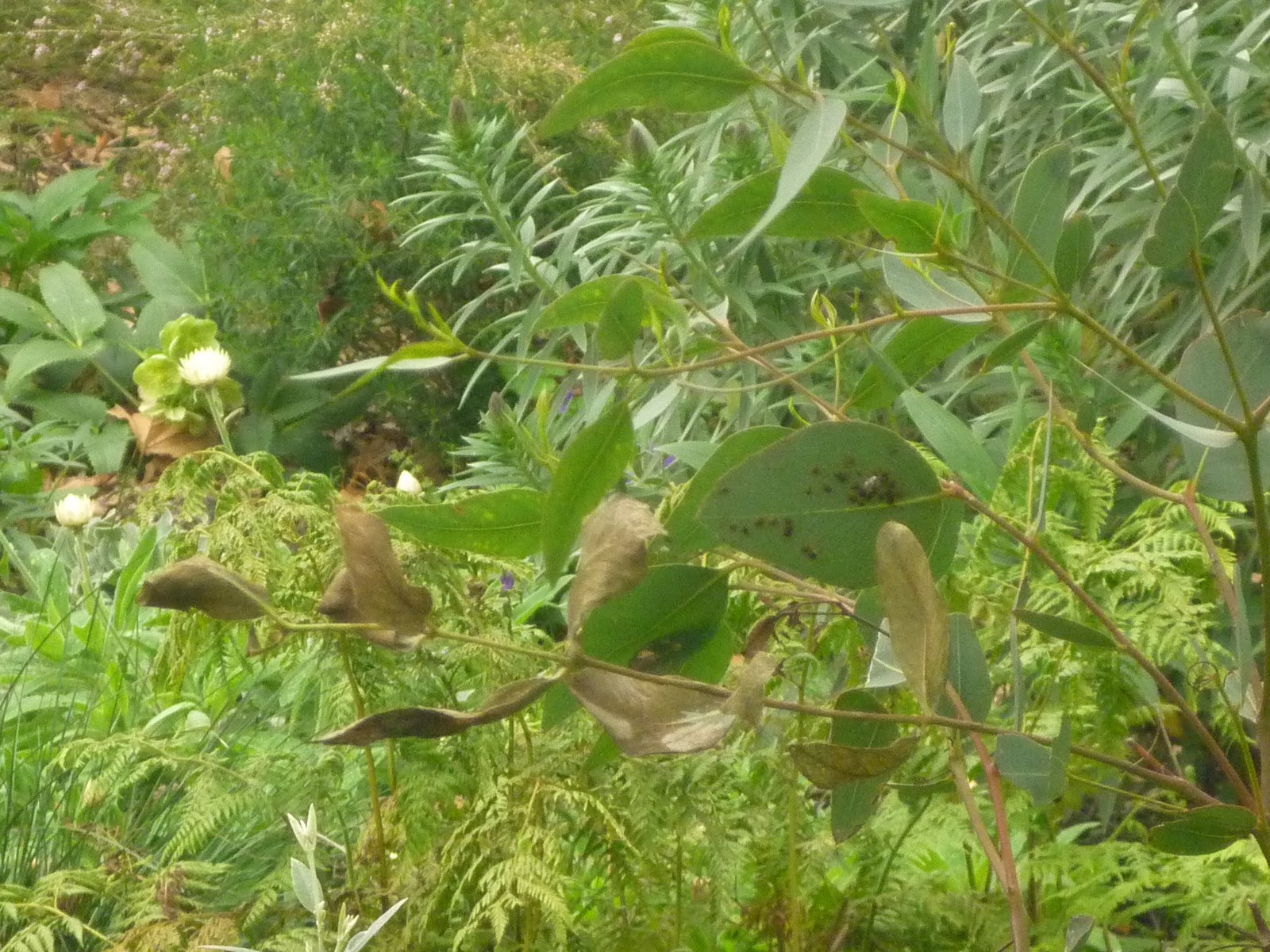 no safety in numbers