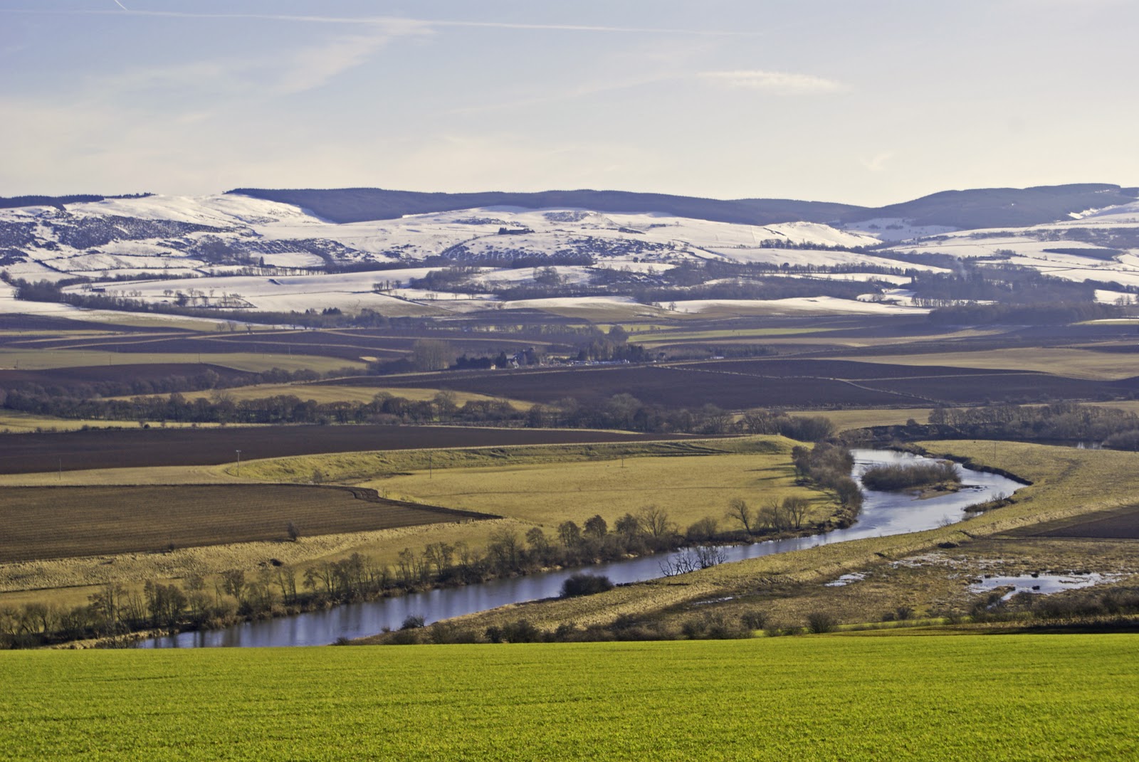 The Works of Manvir: Photography - Scottish Wildlife and Nature