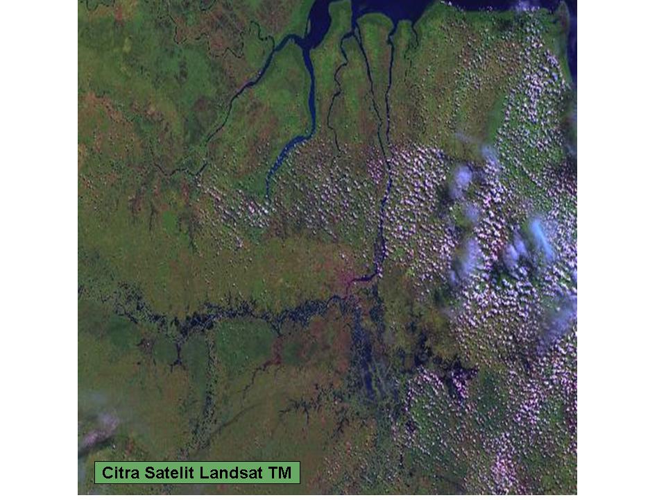 Software citra satellite landsat images - polartelecom