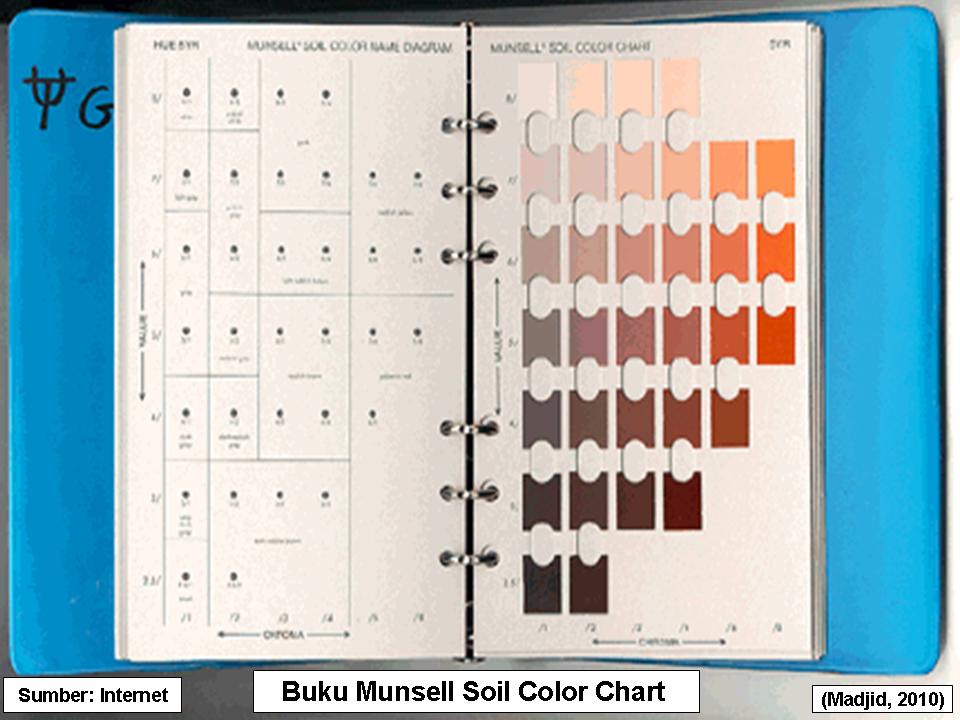 Soil Of Science: 11/03/06 - 11/03/13