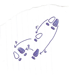 BallroomDancething: Social Foxtrot – Basic Step