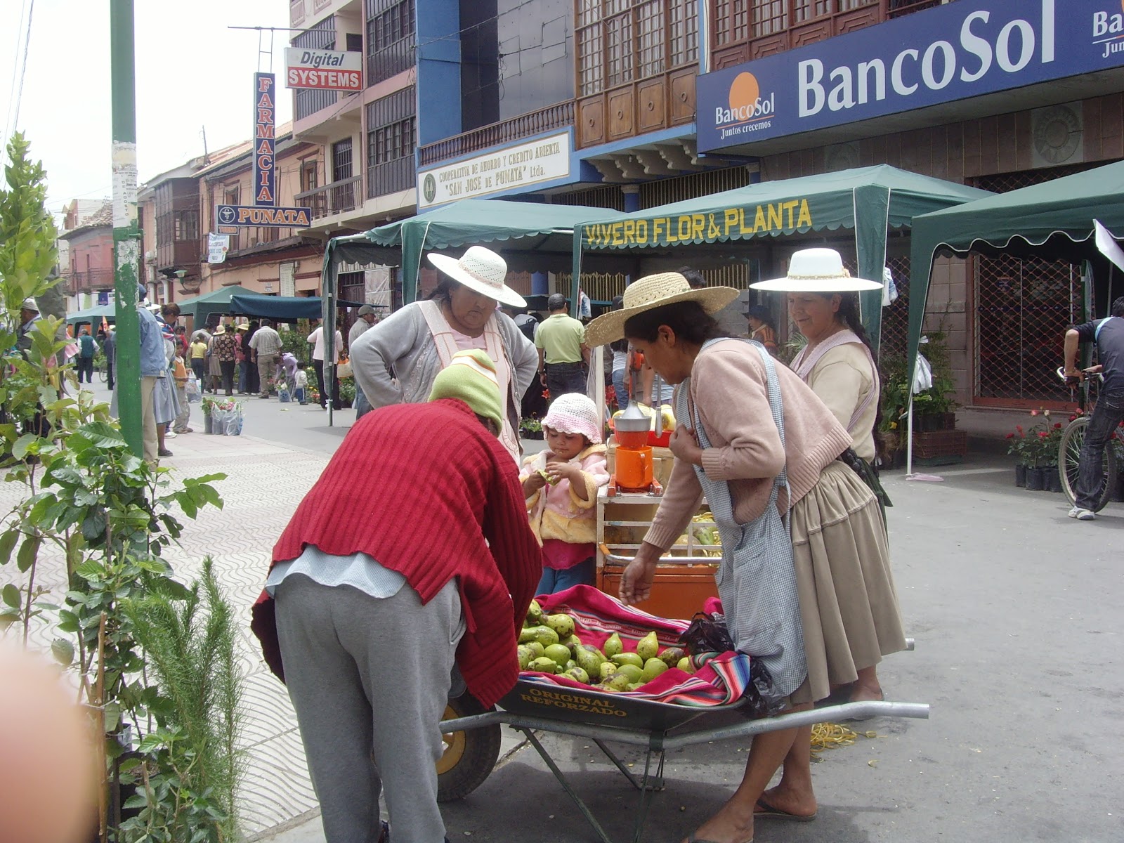 Apuntes de un peregrino: Domingo en Punata