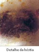 Caminha conosco, Senhor!: Milagre Eucarístico de Alatri – Itália, 1228