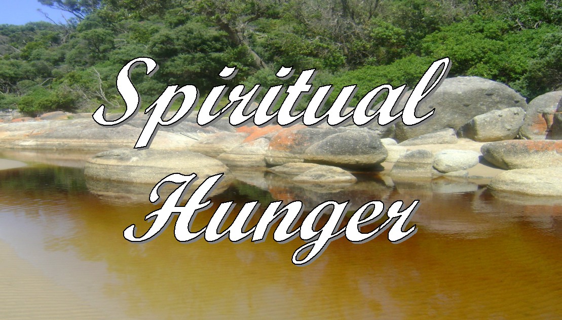 Reflections of You Journal: Are You Hungry For More Of Jesus?