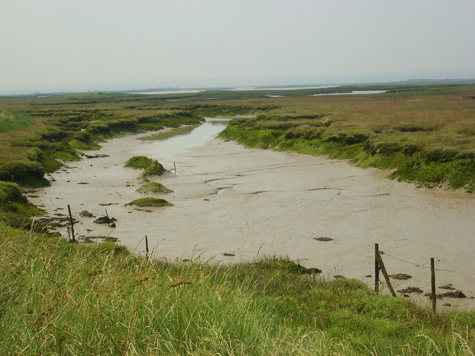 Notes from Kent's Hoo Peninsula: History Walk (Stoke), Saturday 26 June ...