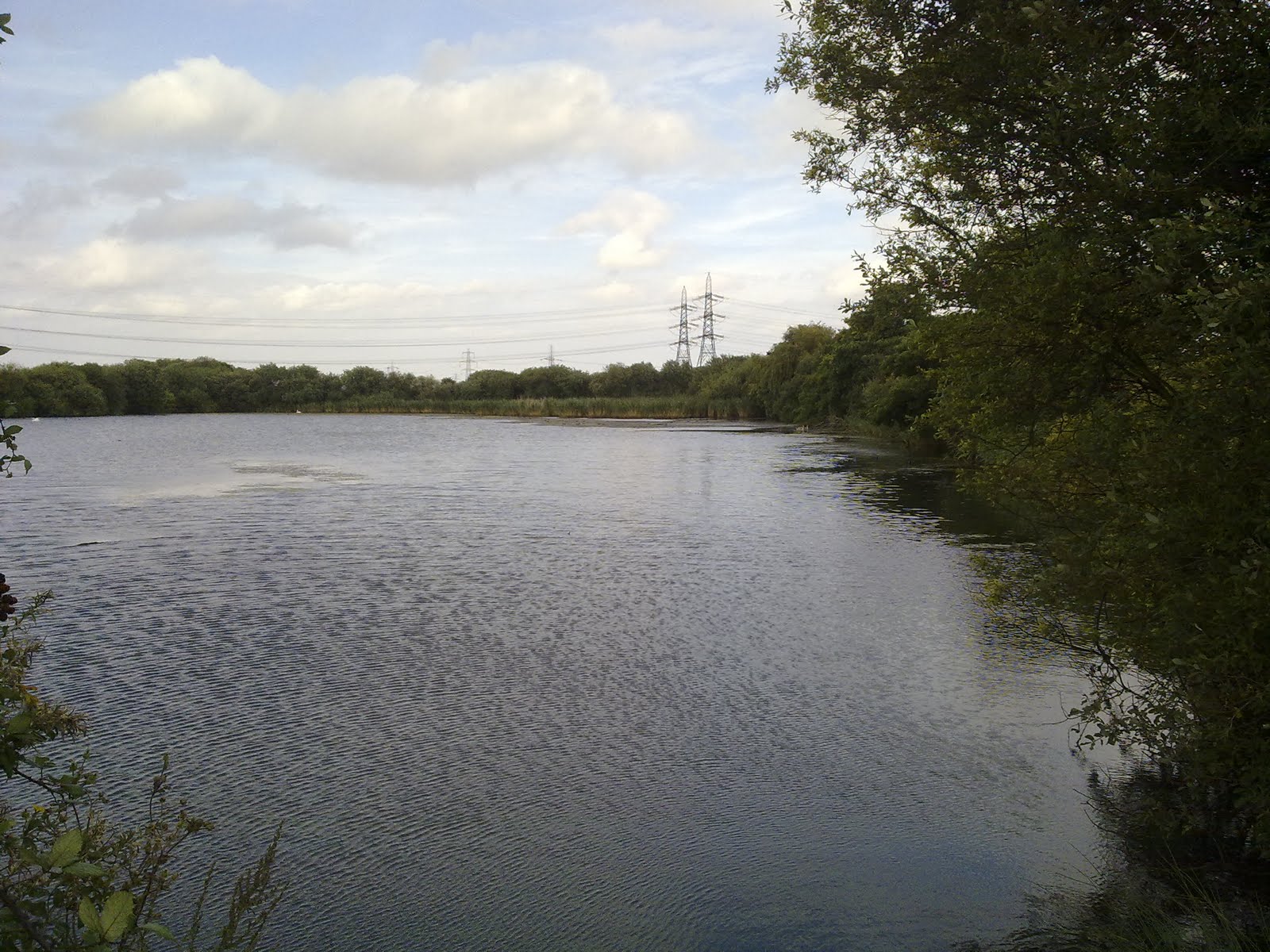 Notes from Kent's Hoo Peninsula: September 2010