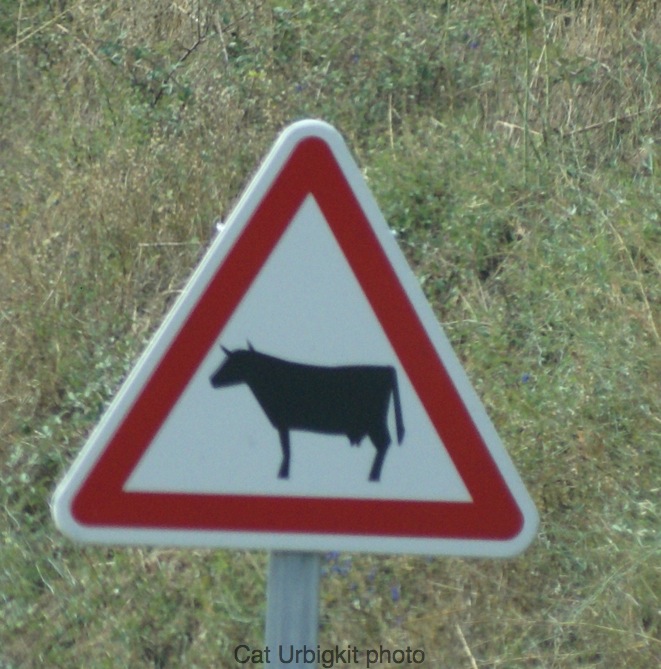 Cattle signs – Stephen Bodio