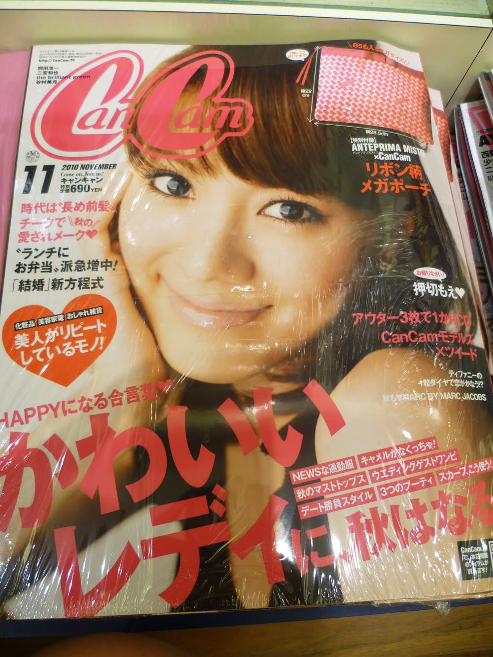 Missy Doroshi: Kinokuniya Japanese Mags for this month!