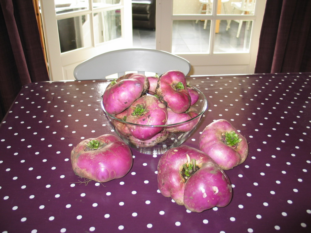 Donna Smith Designs: Life is a bowl of......neeps