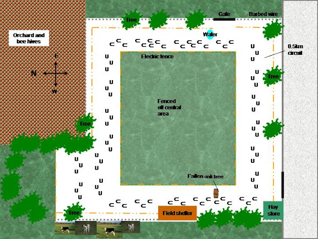 La Dream Team du Sud Ouest: Le Paddock Paradise