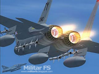 Militar FS: IRIS F-15 FS2004
