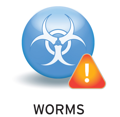 W32.Sobig.F ~ Virus Removal Support