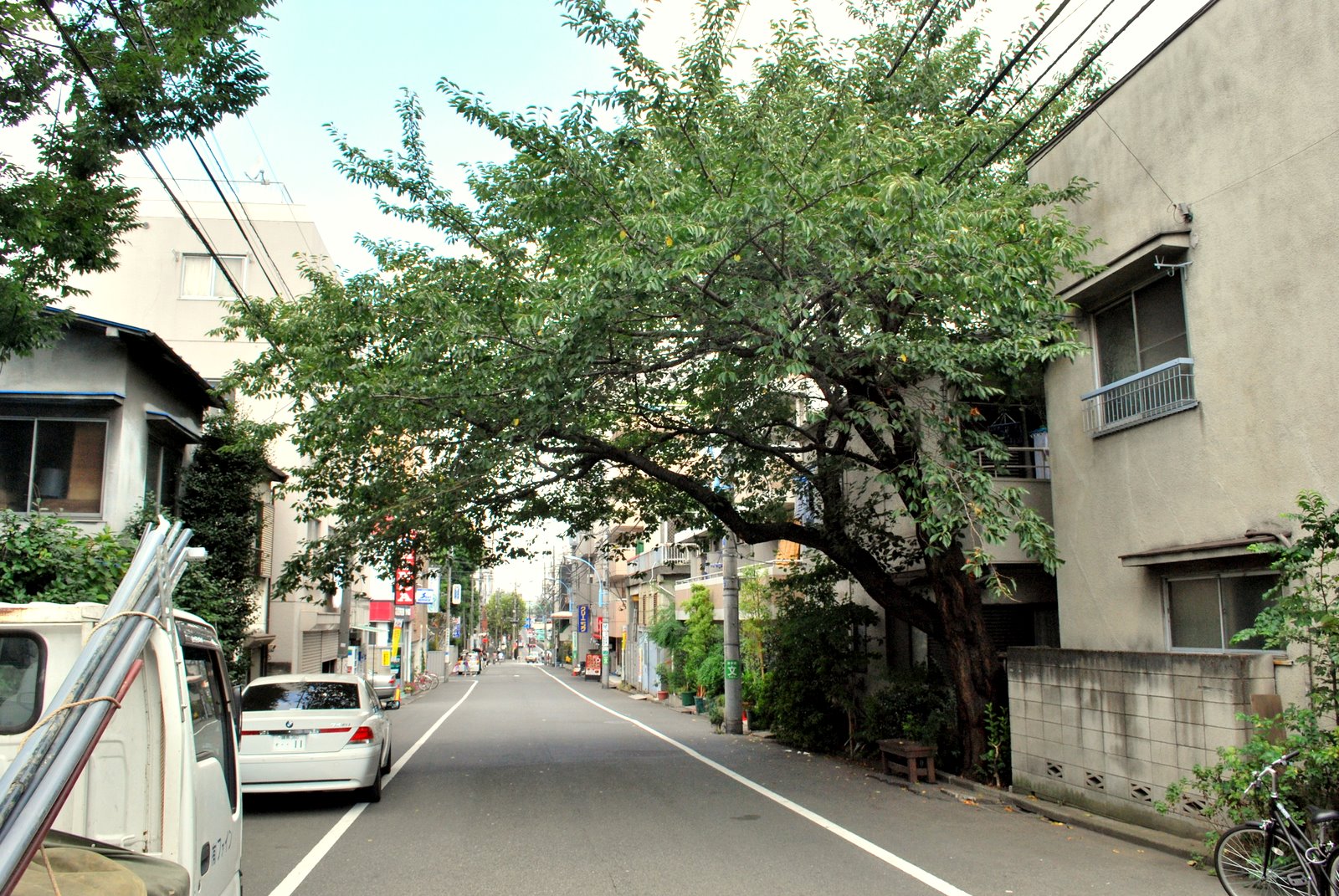 tokyo.parallellt.se: vegetation