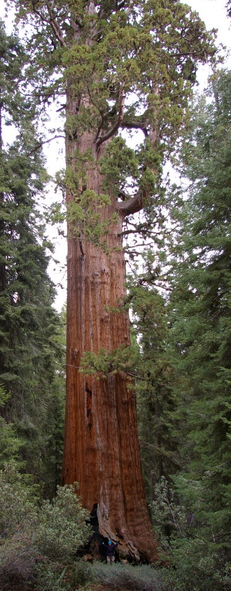 Look, Mom, We're Camping!: Mountain Home State Forest: November 2010